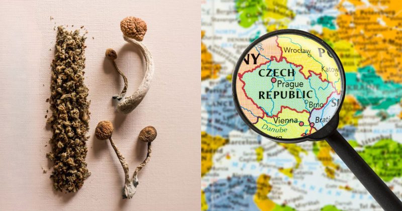 Czech 2026 Cannabis Reform: Decriminalization vs. Legalization - Pars ...